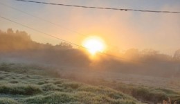 Em Maravilha, mínima chegou a 0ºC nesta terça-feira (12), e comunidade...